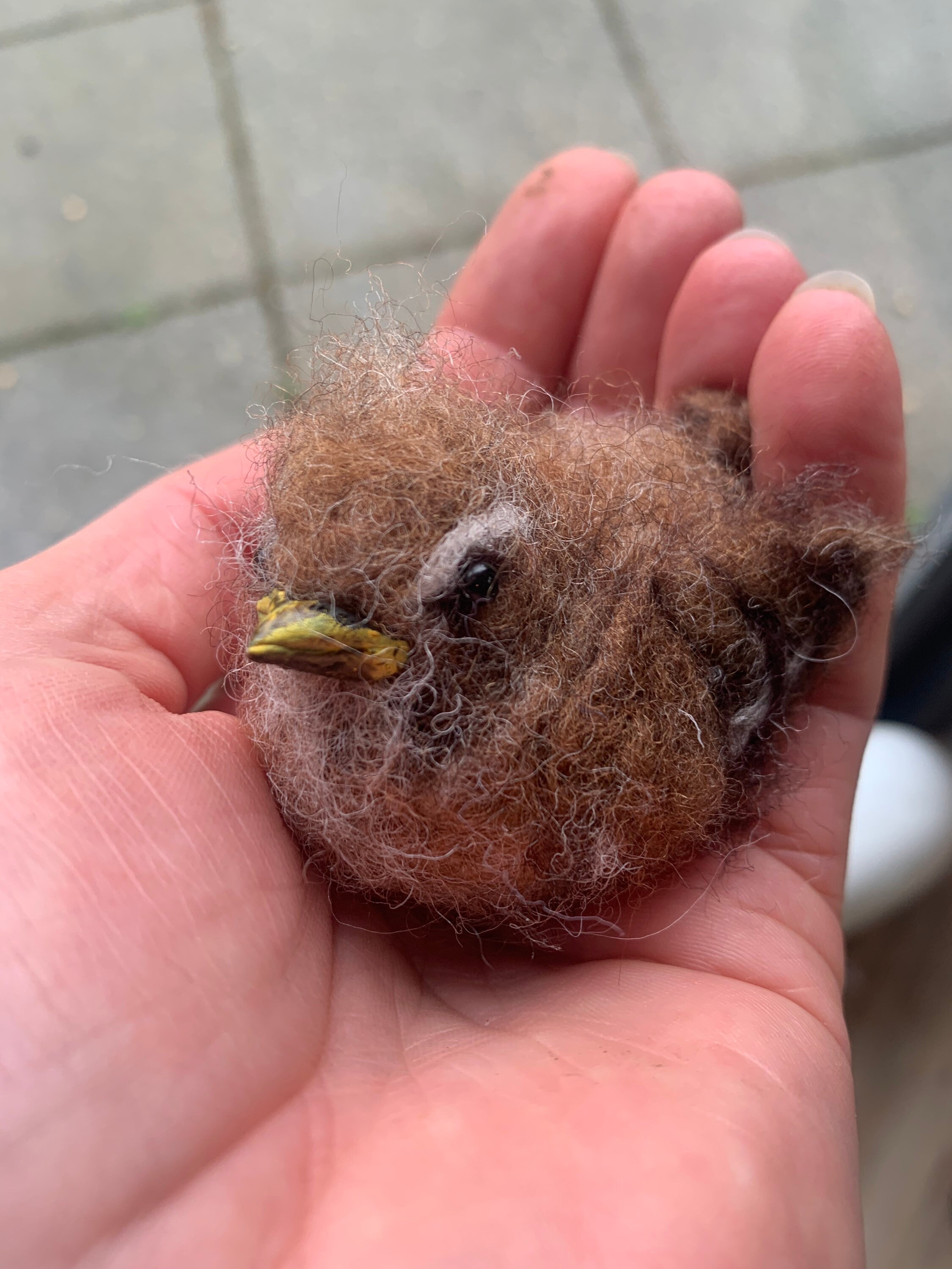 Needle Felted Wren Chick Wool Sculpture Driftwood Not Included - Etsy