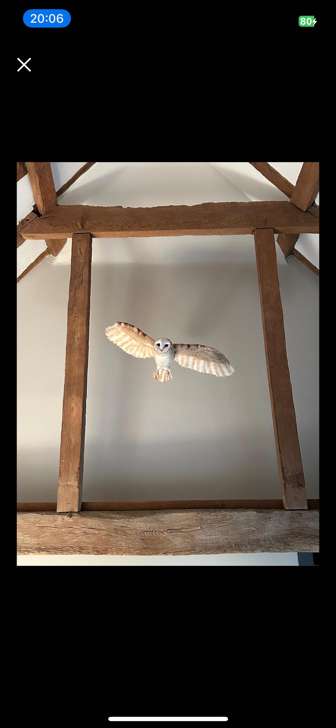 Large Life Size Needle Felted Barn Owl in Flight With Hanging Hook. - Etsy