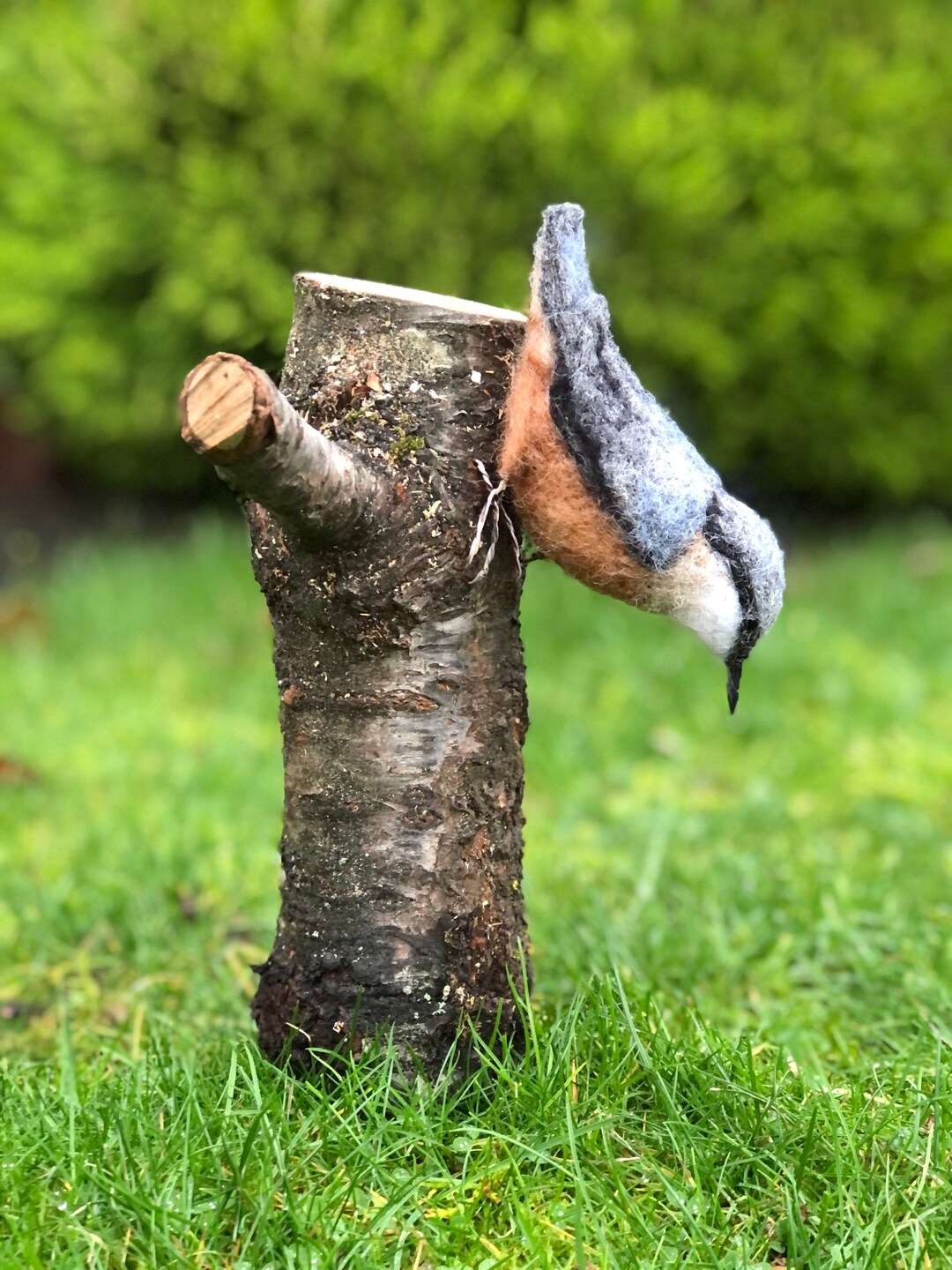 Needle Felted Nut Hatch Bird Made to Order - Etsy