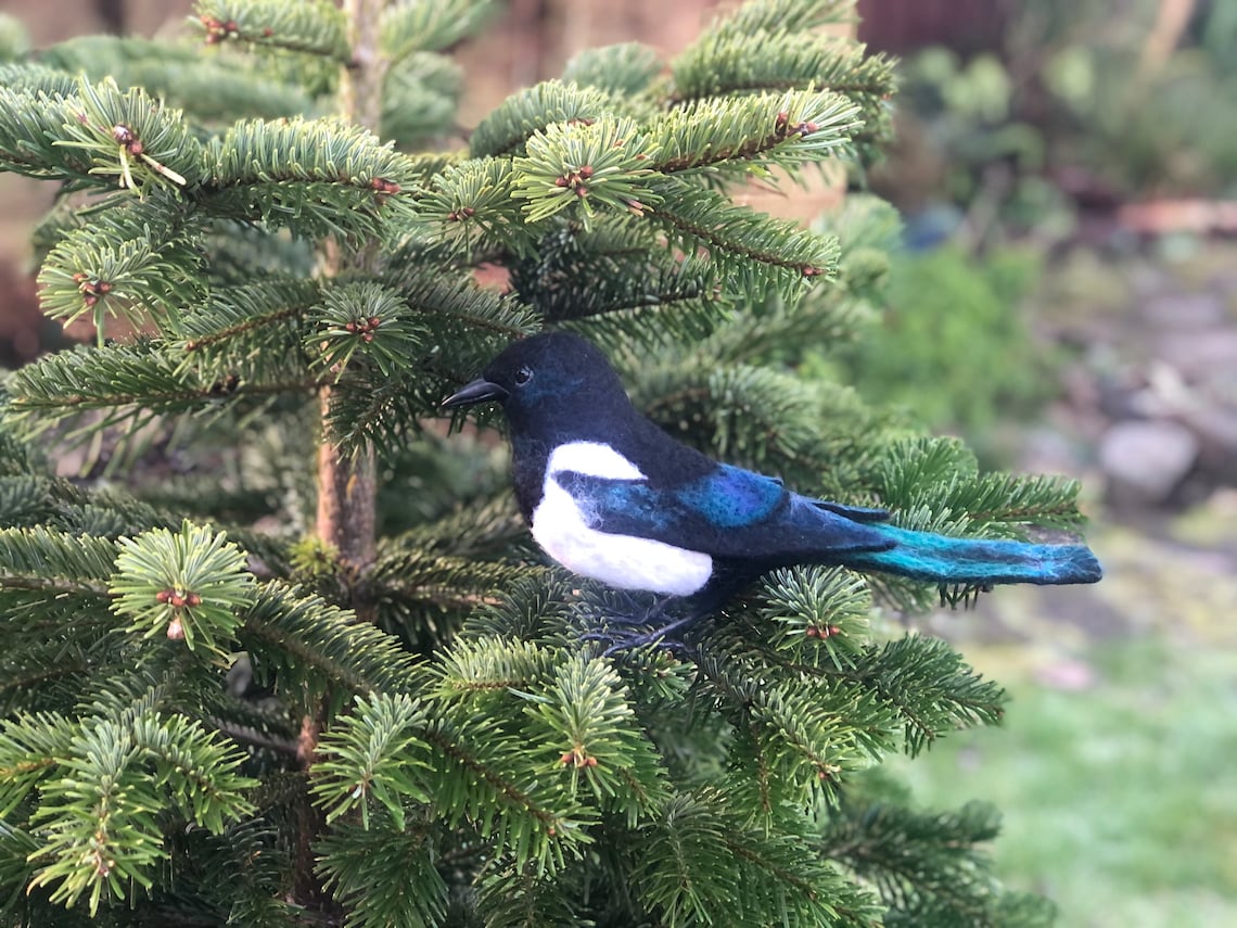 Needle Felted Lifesize Magpie Made to Order. - Etsy
