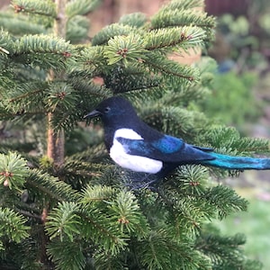 Needle Felted Lifesize Magpie, Made to Order. - Etsy