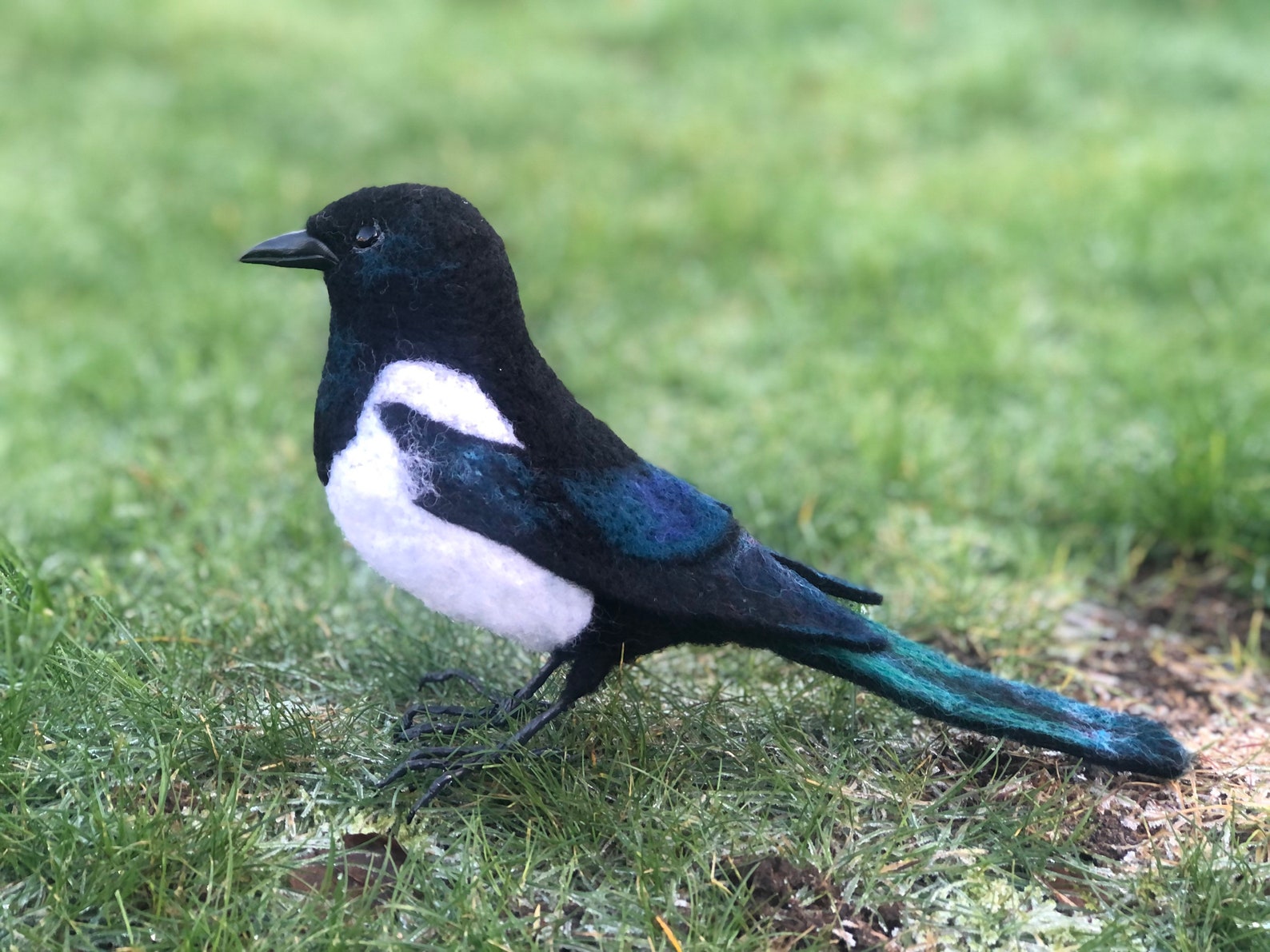 Needle Felted Lifesize Magpie Made to Order. - Etsy
