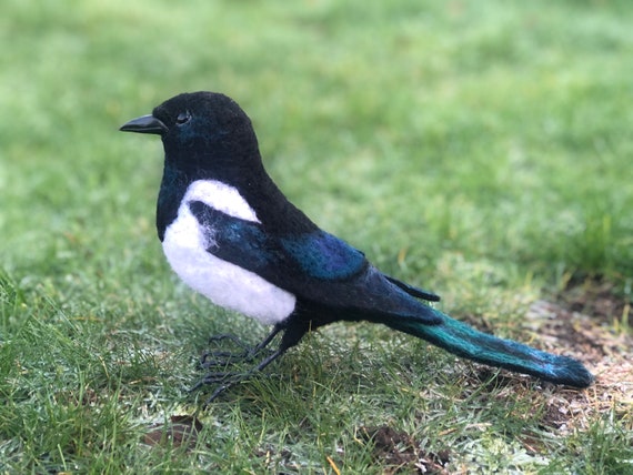 Needle Felted Lifesize Magpie Made to Order. - Etsy