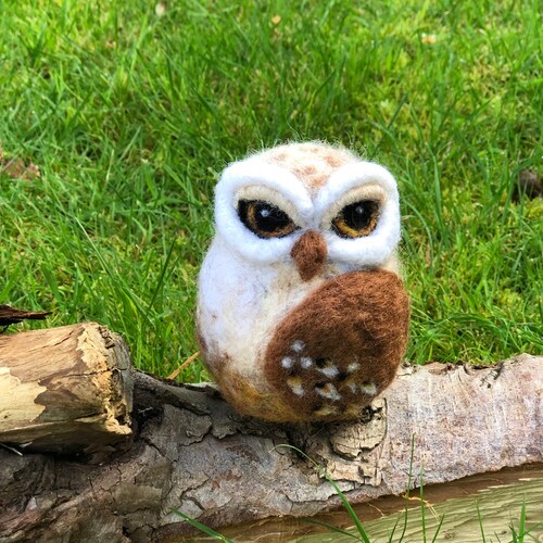Needle Felted Baby Burrowing Owl Needle Felted Owl Needle - Etsy