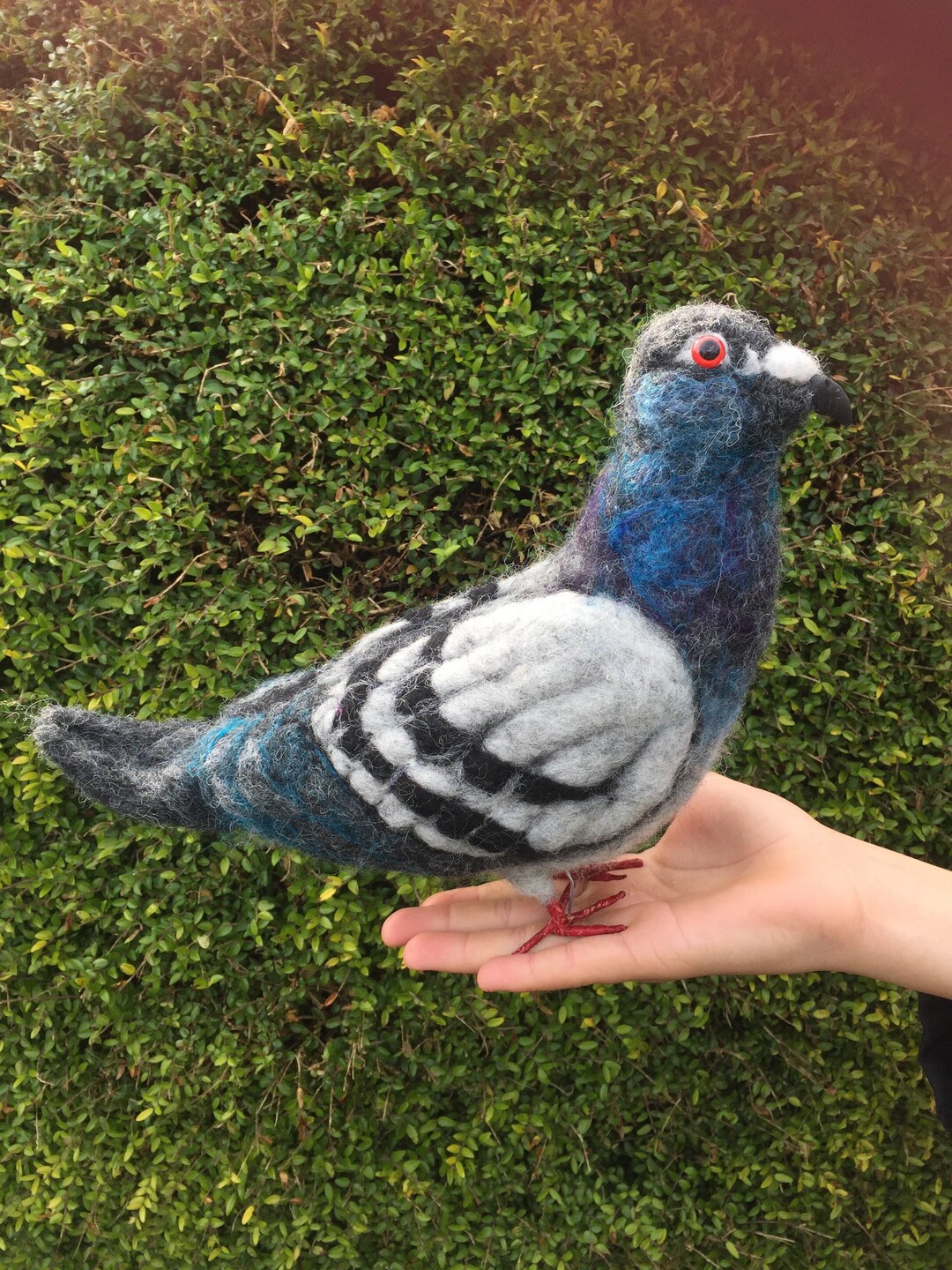 Made to Order Pigeon Needle Felted Sculpture - Etsy