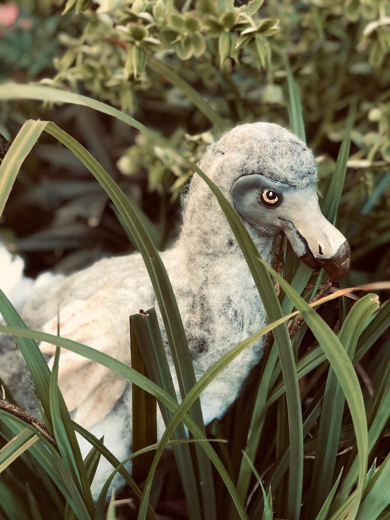 Dodo Needle Felted Sculpture Made to Order - Etsy