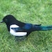 Needle Felted Lifesize Magpie, Made to Order. - Etsy