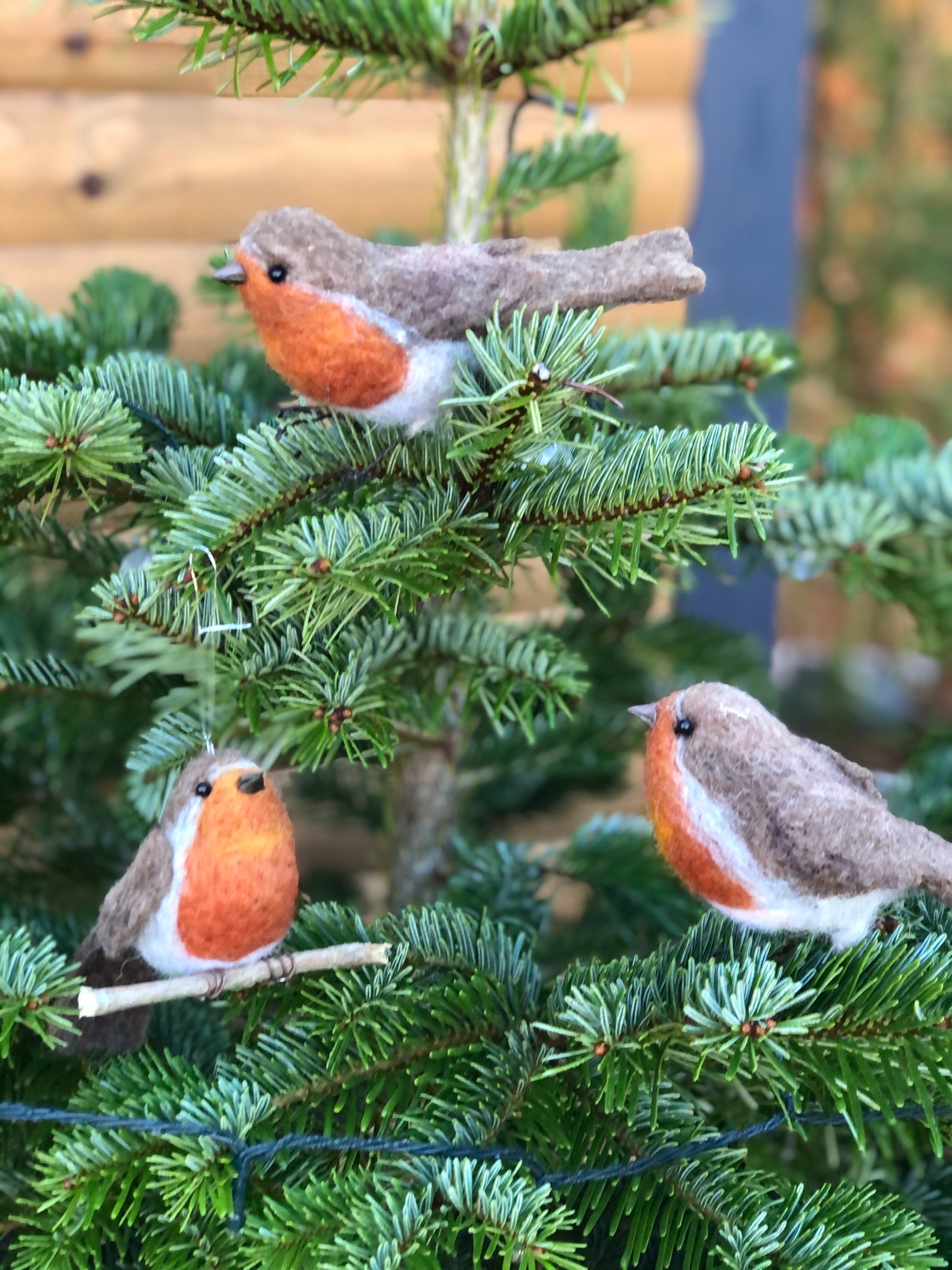 Needle Felted Robin Made to Order | Etsy