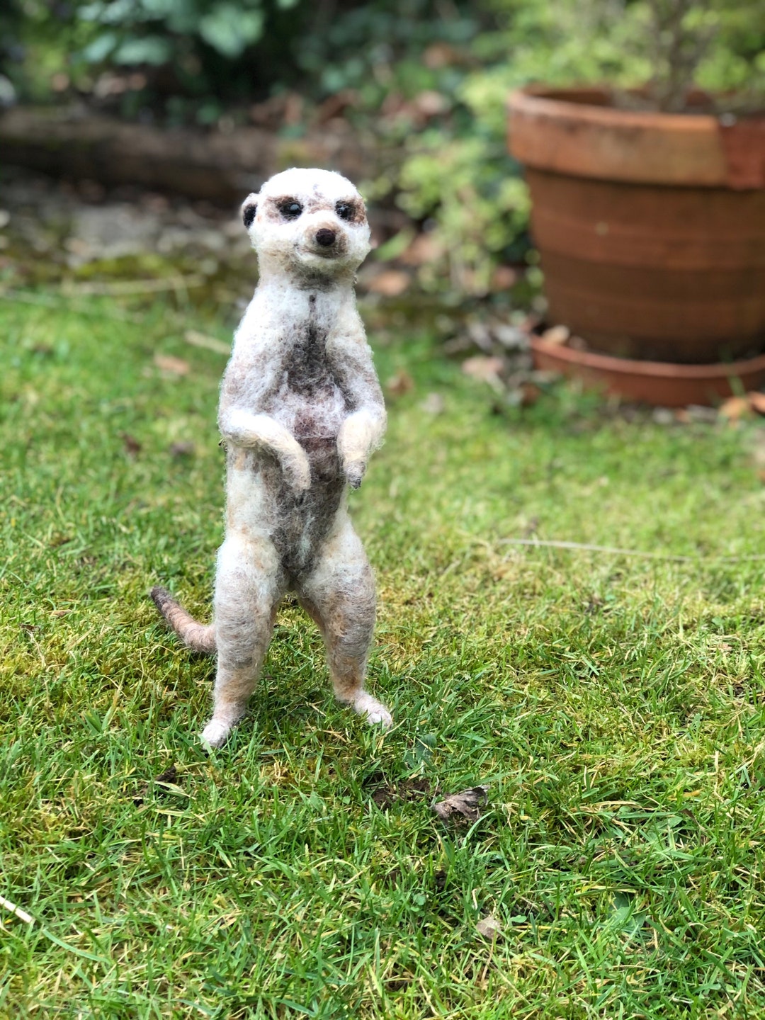 Needle Felted Meerkat Sculpture - Etsy