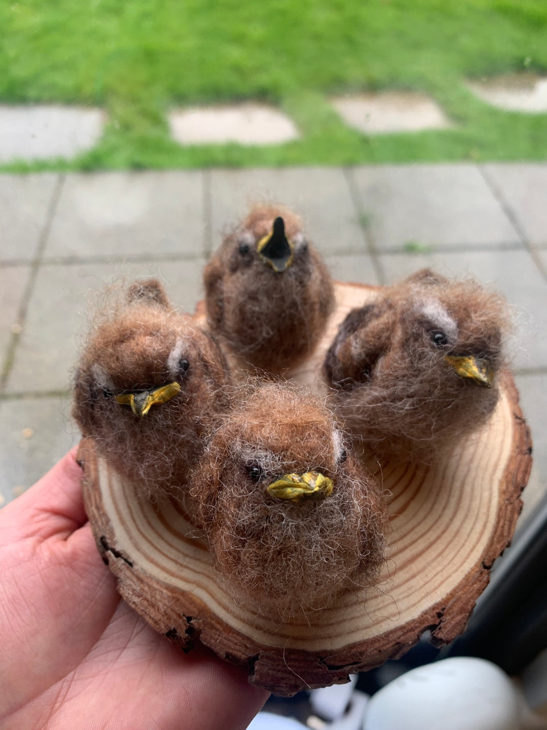 Needle Felted Wren Chick Wool Sculpture Driftwood Not Included - Etsy