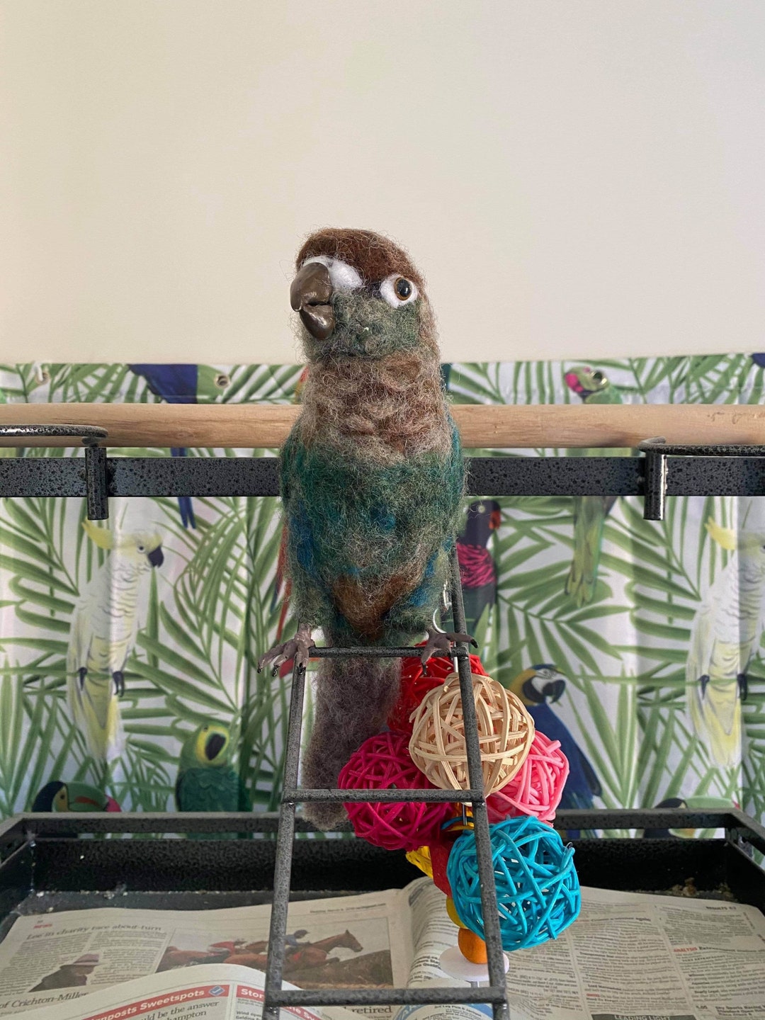 Needle Felted Parrot Portrait Likeness Made to Order - Etsy