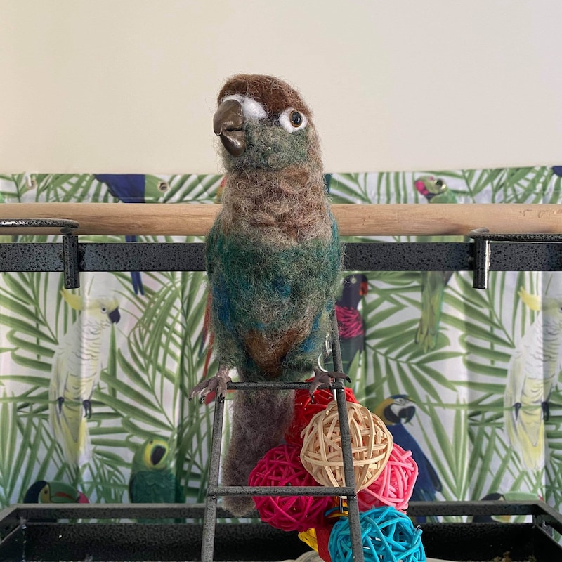 Needle Felted Parrot - Etsy