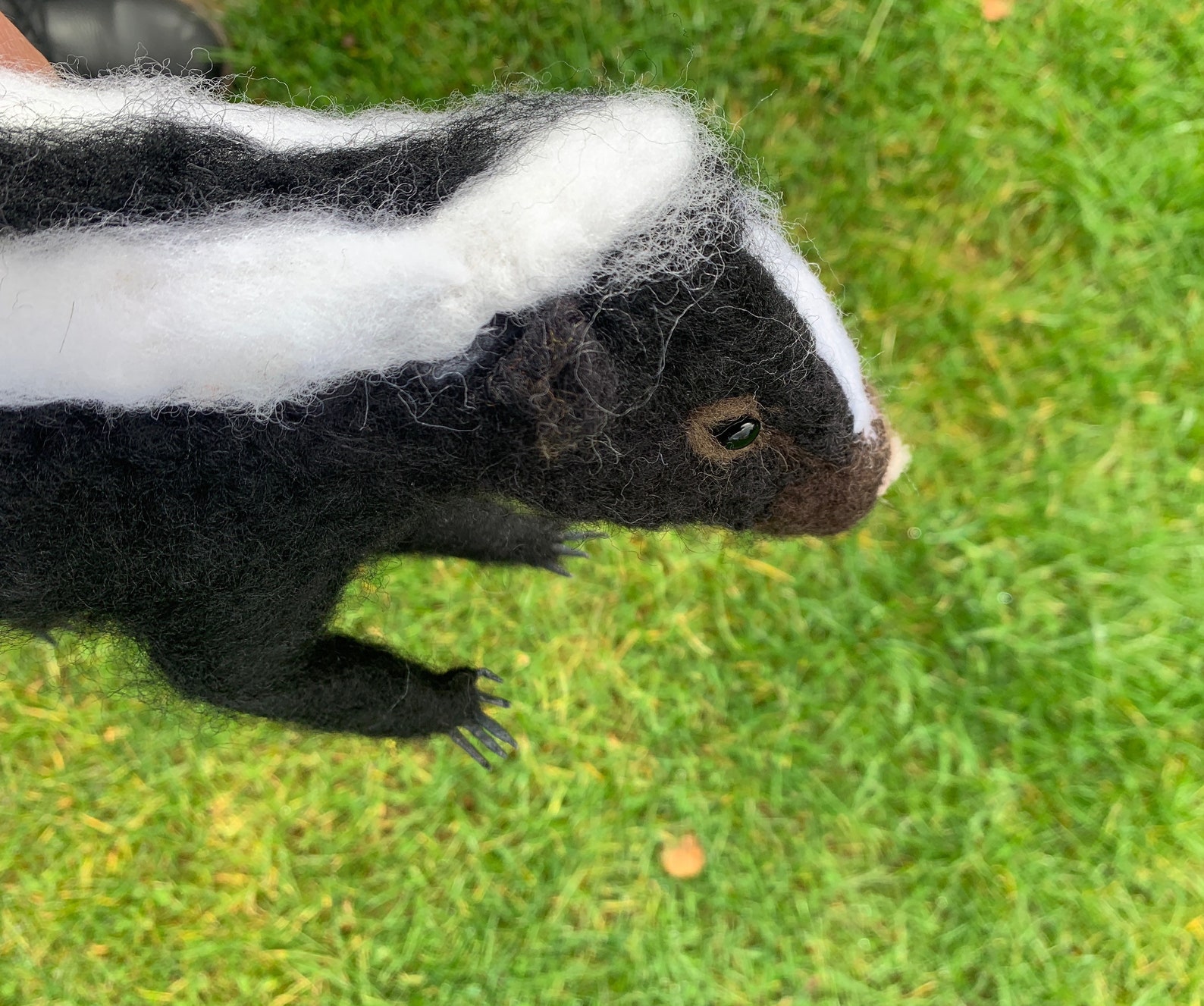 Needle Felted Life Size Skunk. Made to Order - Etsy
