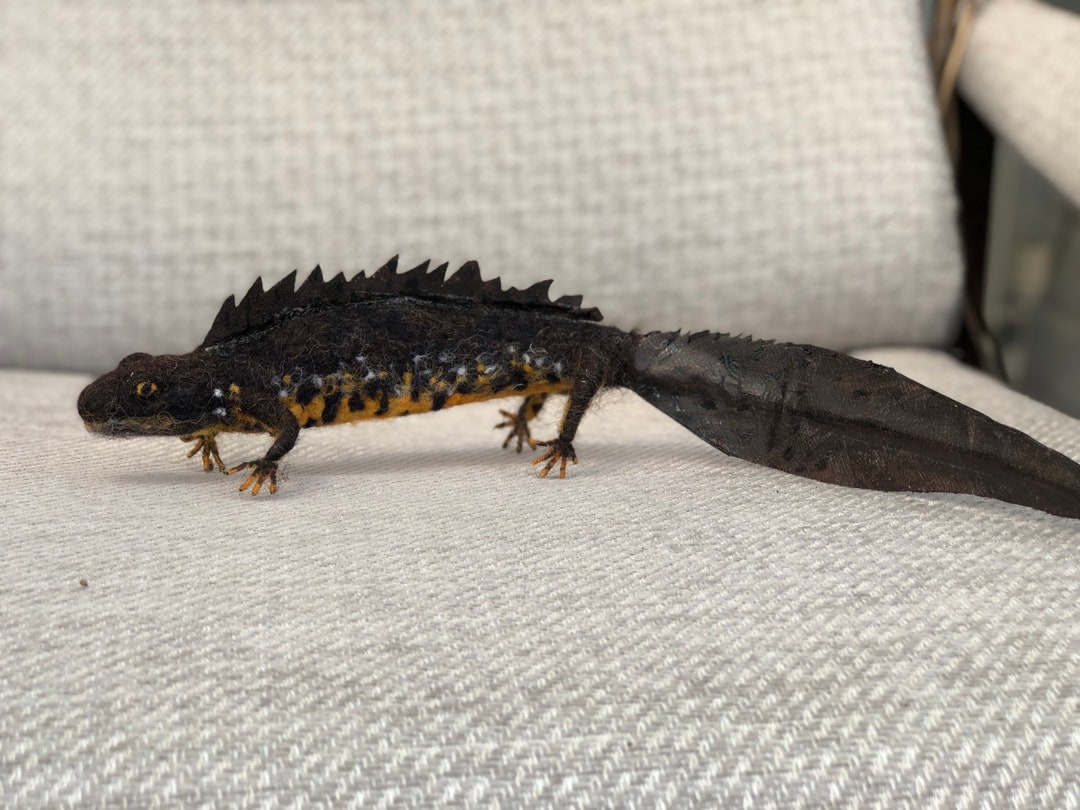 Needle Felted Newt Sculpture - Etsy