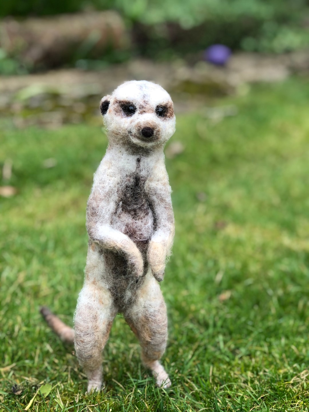 Video Tutorial Workshop Recording and Kit to Make Needle Felted Meerkat ...