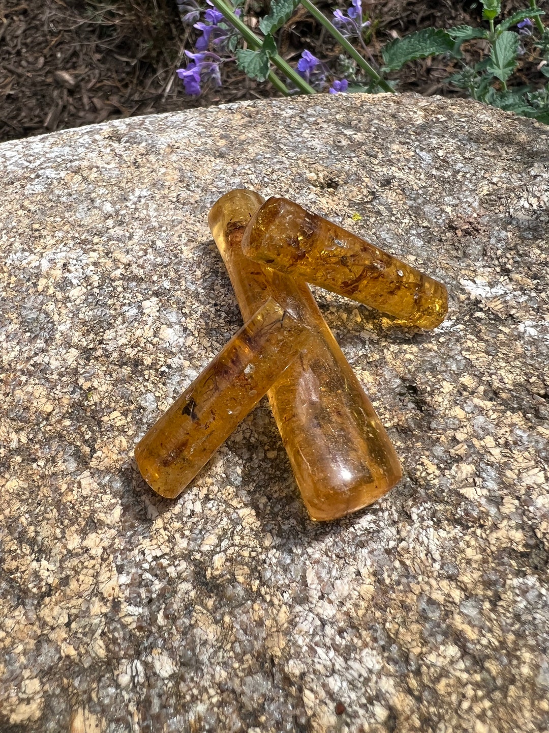 Copal With Insects - Etsy