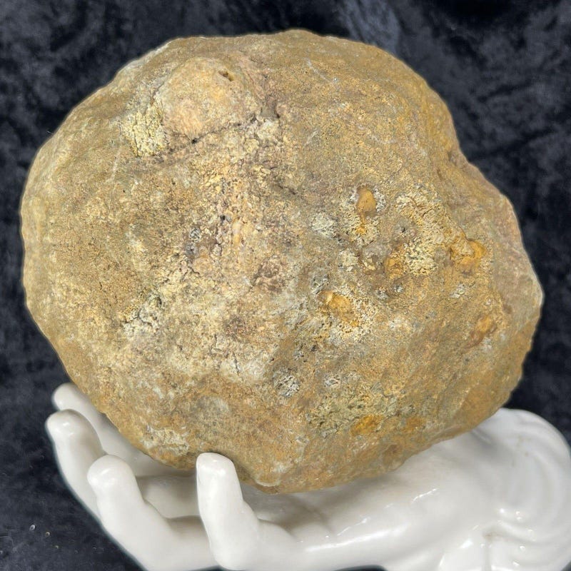 Amethyst Geode Unopened - Etsy