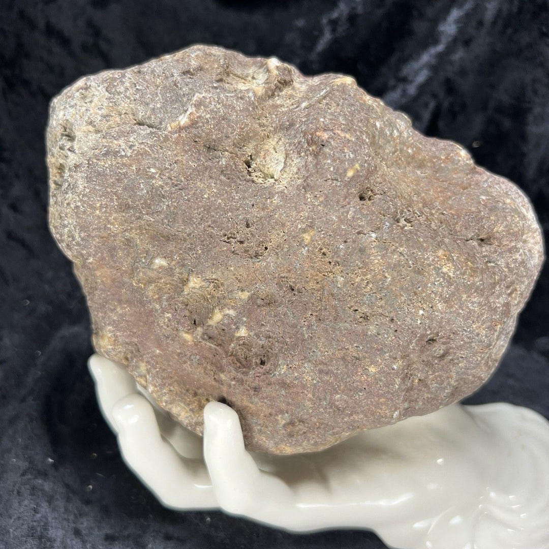 Large Unopened Geode 6 Inch Crystal Quartz Chalcedony Uncut Whole Non ...