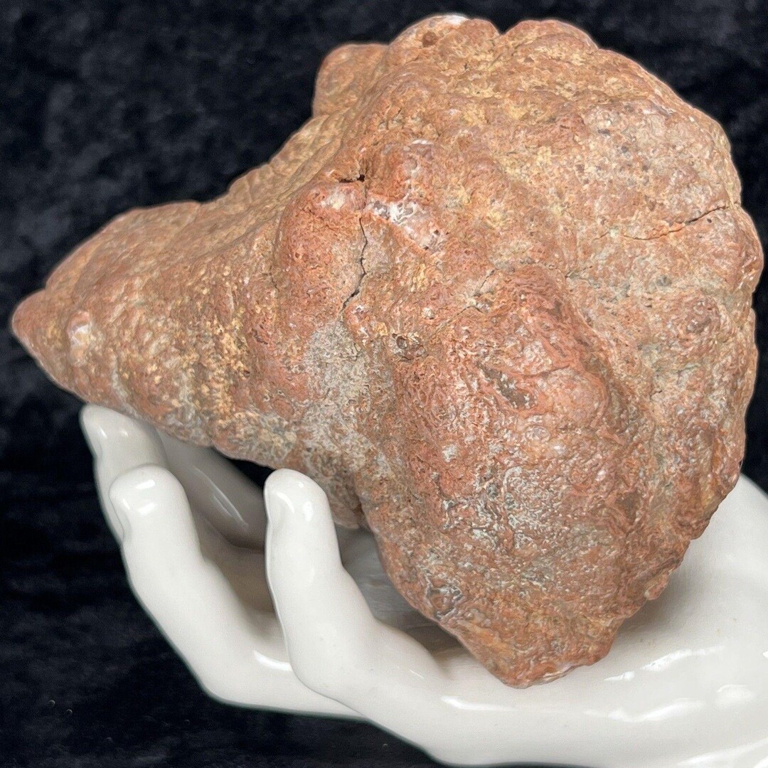 Red Unopened Geode 5 Inch Crystal Chalcedony Non Rattling Fossil Quartz ...