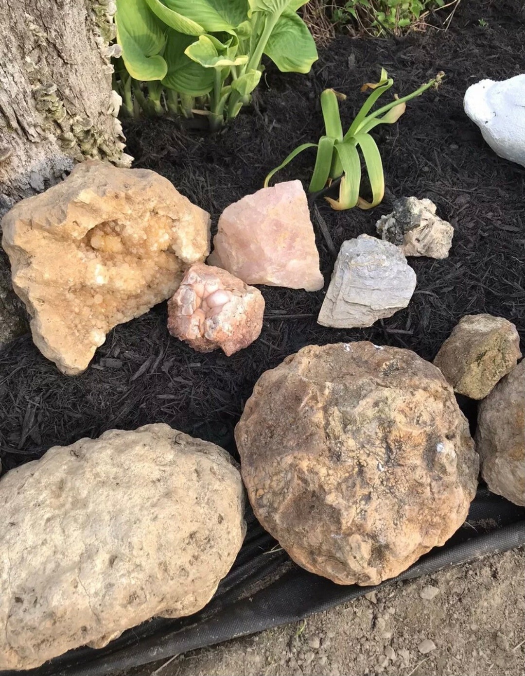 10lbs Discount Unopened Opened GEODES NODULE Landscape Misfit Clearance ...