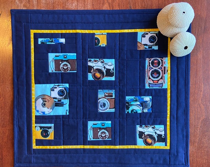 Vintage Camera Art Quilt, Original Design, !6 X 14 Inches - Etsy