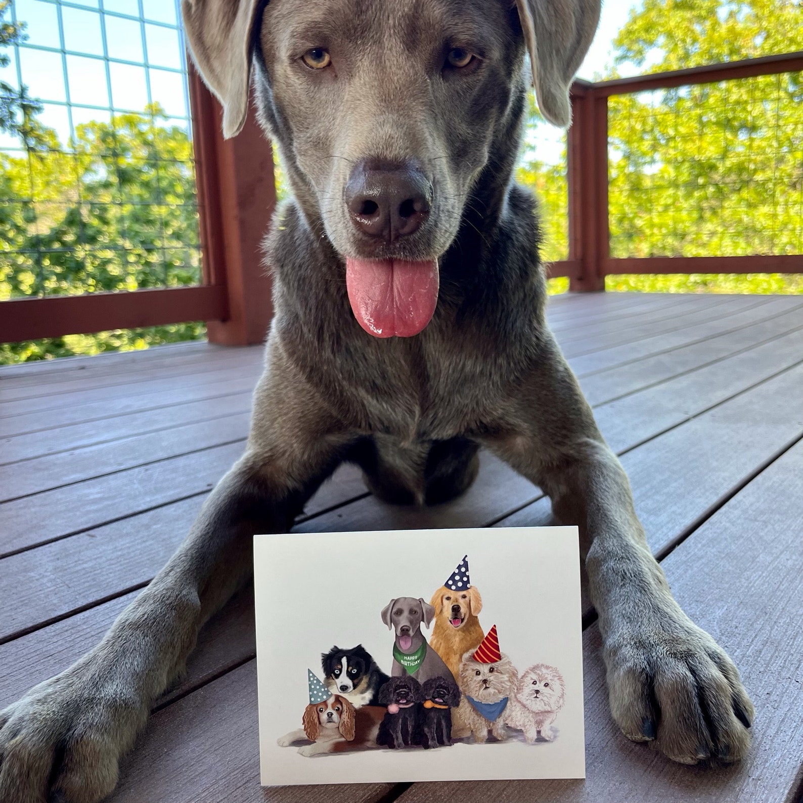 Dog Party Card, Puppy Greeting Card, Dog Birthday Card, Happy Birthday ...