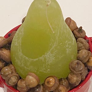 50 Acorns Assorted Large and Medium Fall Potpourri Place Cards ...