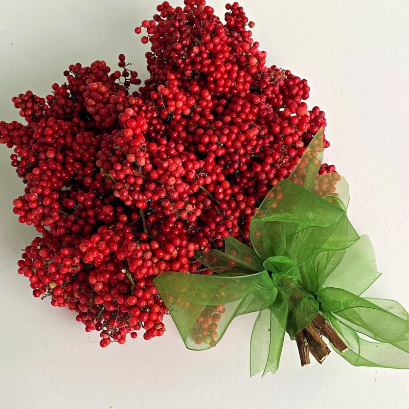 Preserved Red Berry - Etsy