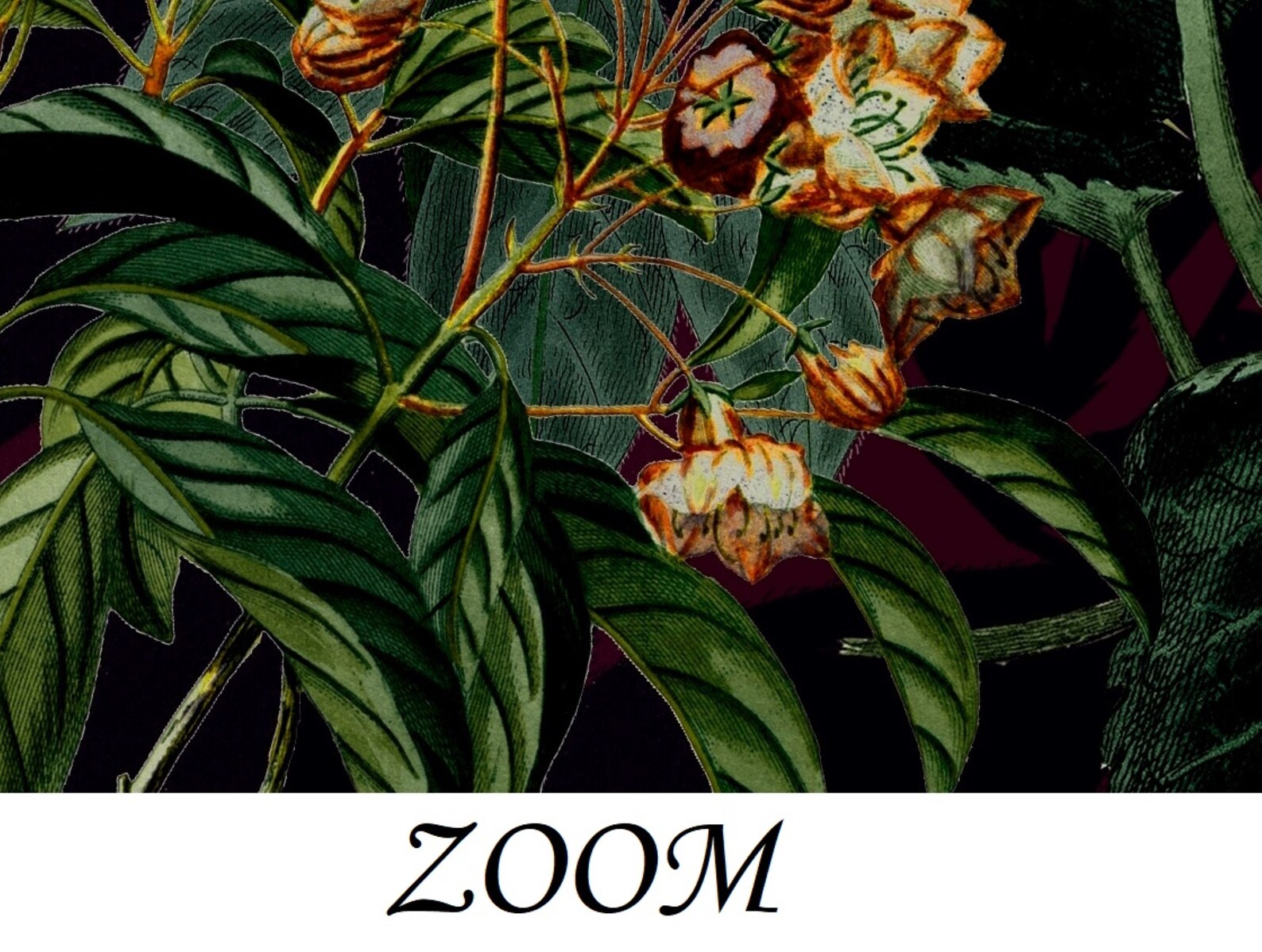 Poisonous Plant Wallpaper Dark Botanical Wall Mural - Etsy UK