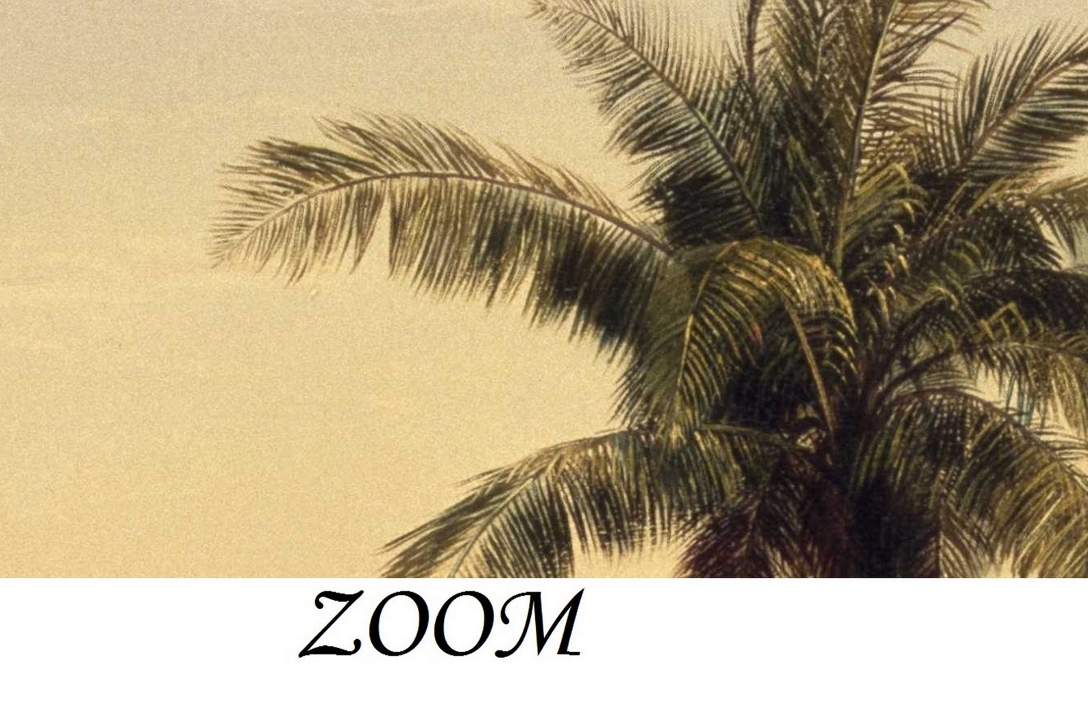 Palm Tree Wallpaper Wall Mural Removable Wallpaper Tropical - Etsy