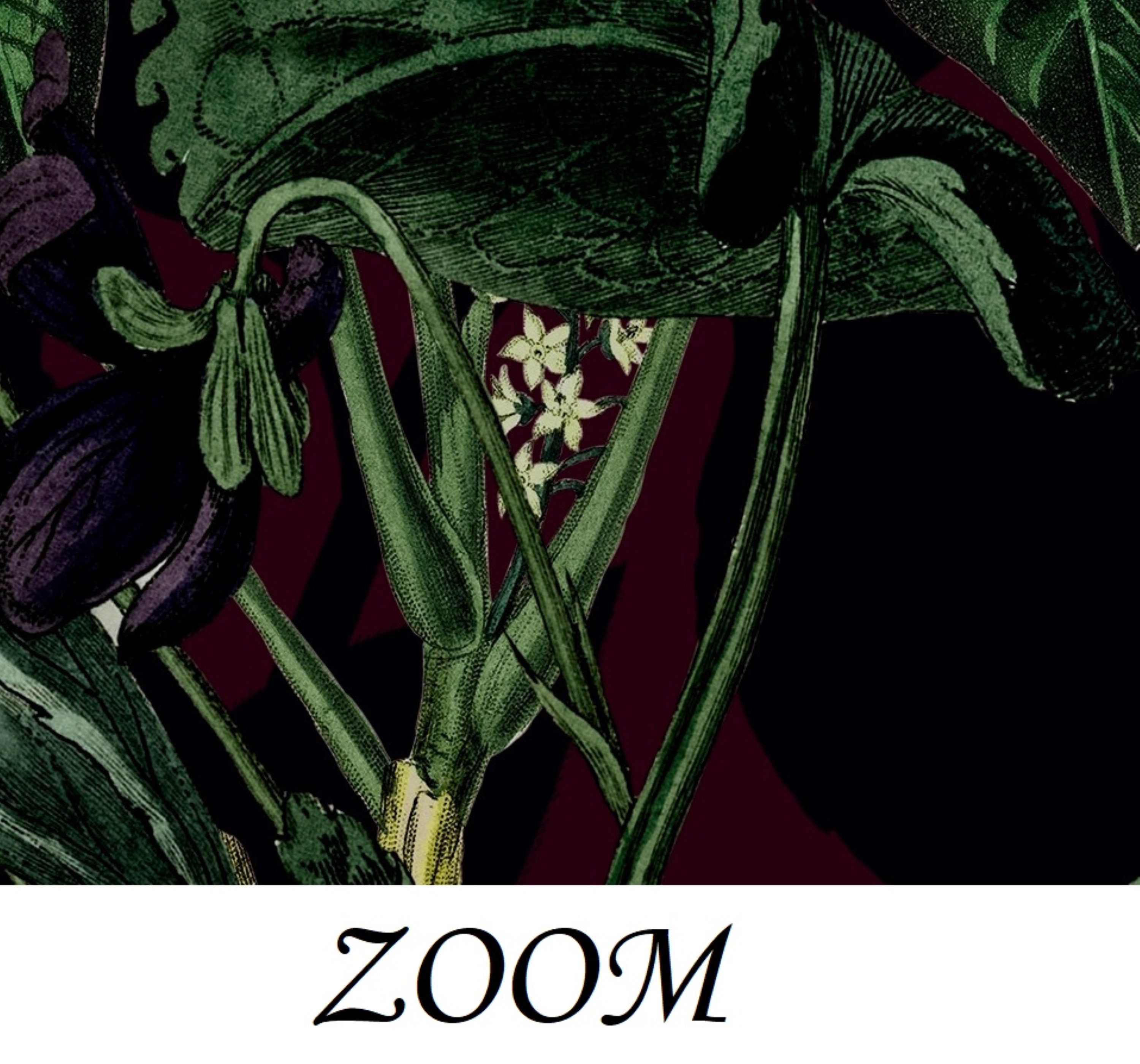 Poisonous Plant Wallpaper Dark Botanical Wall Mural - Etsy UK