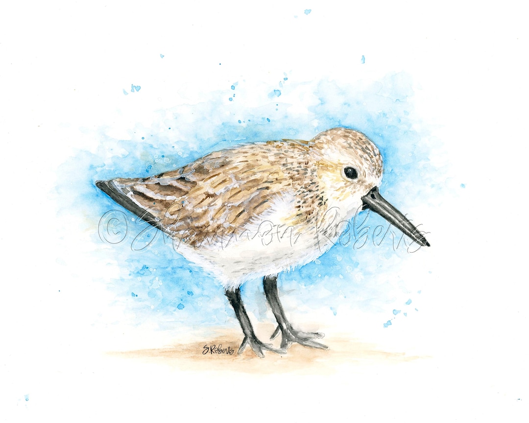 Sandpiper Beach Art Painted - Watercolor Sandpiper Art, Sandpiper ...