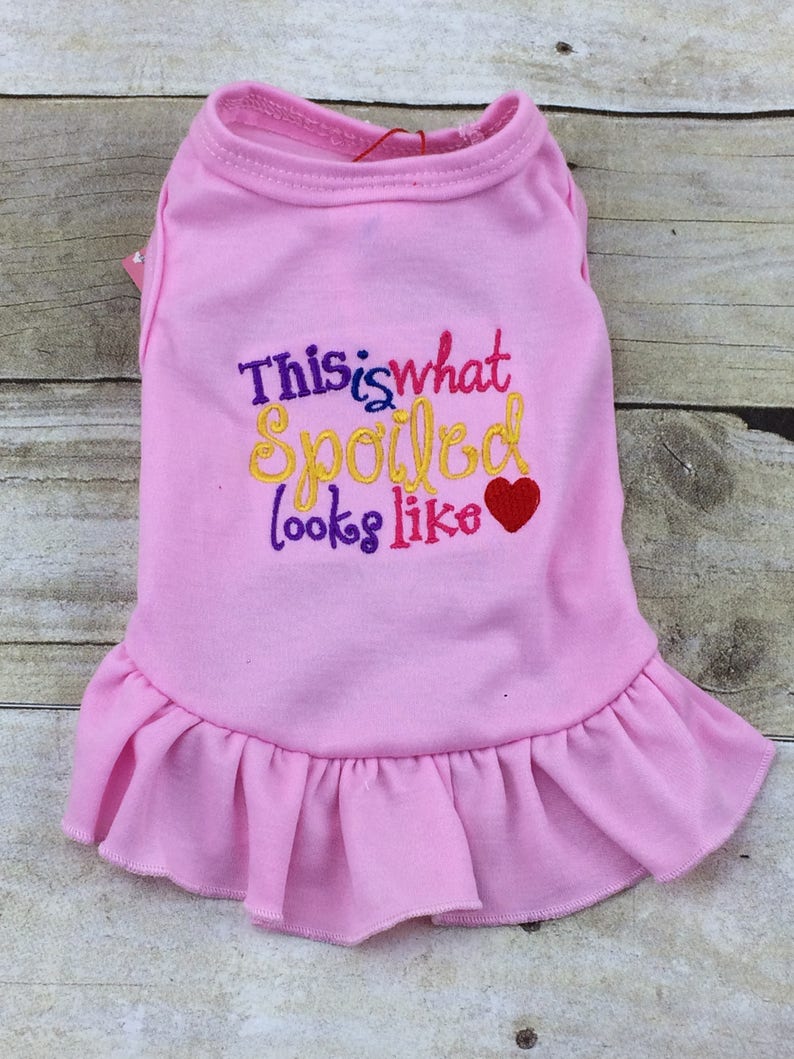 Cute Spoiled Puppy Dog Tshirt or Dress, Spoiled Puppy Clothes, Cute ...