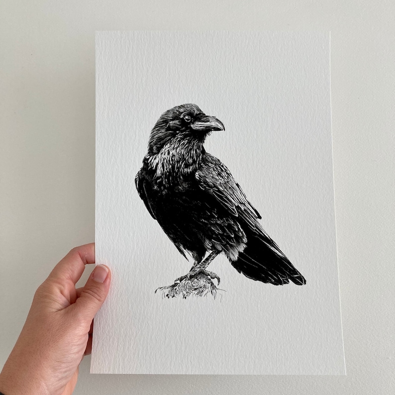 Raven Drawing - Etsy