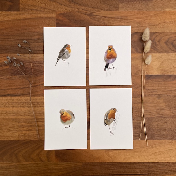 Bird Postcards - Etsy