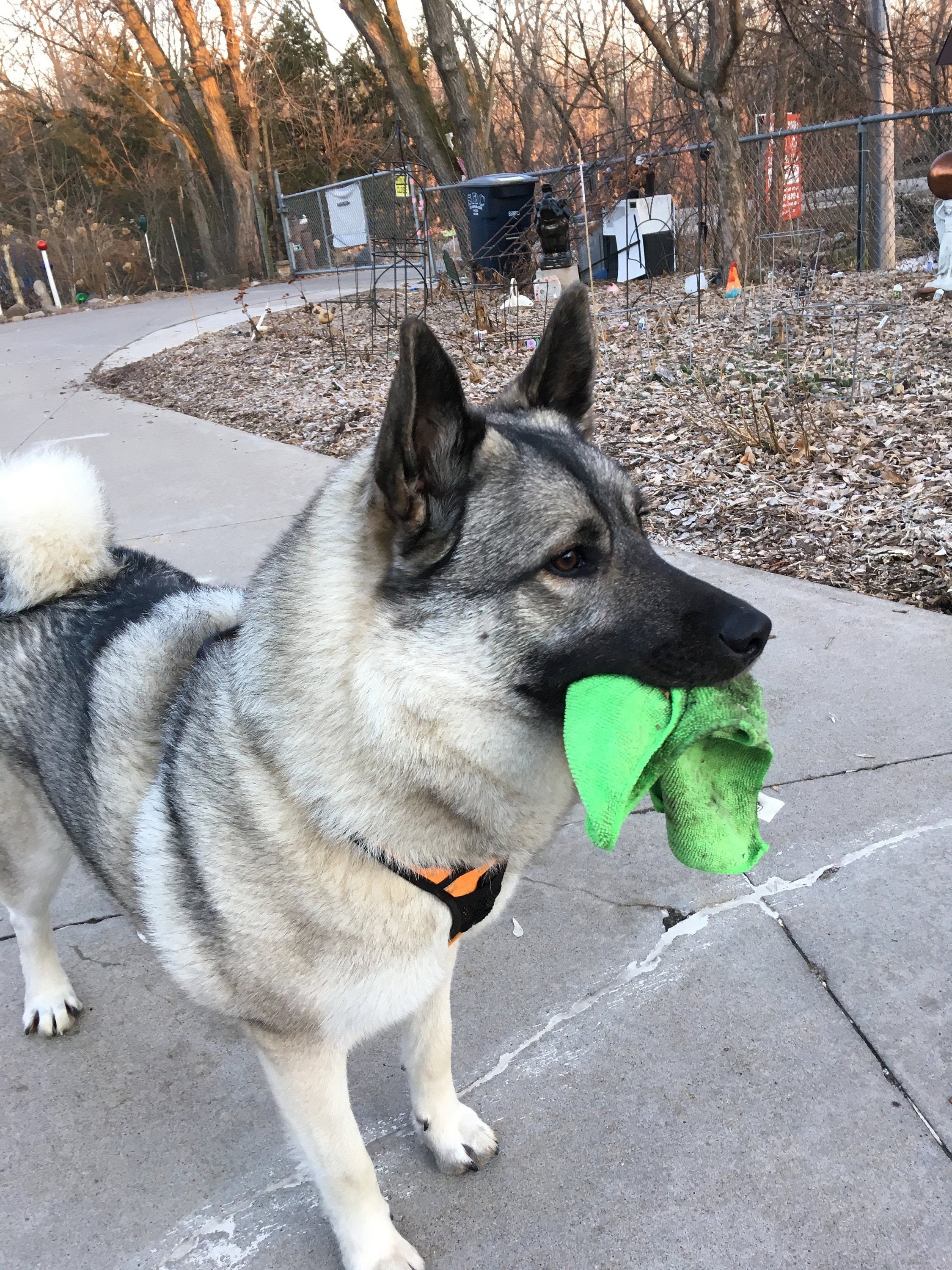 Cubicle, Co Worker Gift, Hag Stone, Cubicle Hag Stone, Office Hag Stone ...