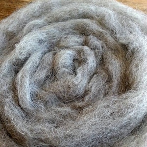 Navajo Churro Wool Roving, Homegrown Natural Colors 4 Oz. - Etsy