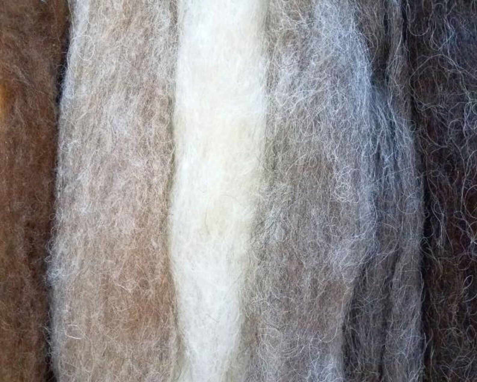 Navajo Churro Wool Roving, Homegrown Natural Colors 4 Oz. - Etsy