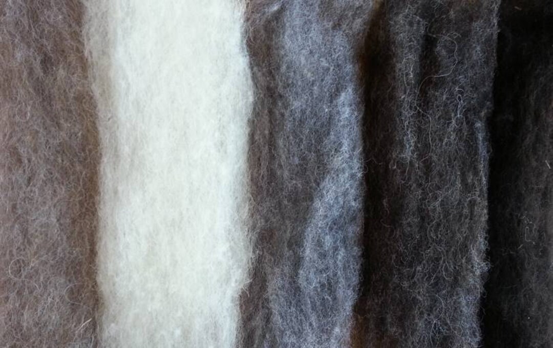 Shetland Wool Roving, Homegrown Natural Colors 4 Oz. - Etsy