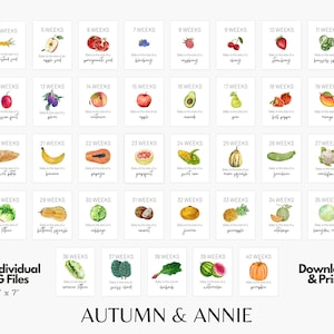 Printable Pregnancy Milestone Cards | Fruit & Veggies to Track Baby’s ...