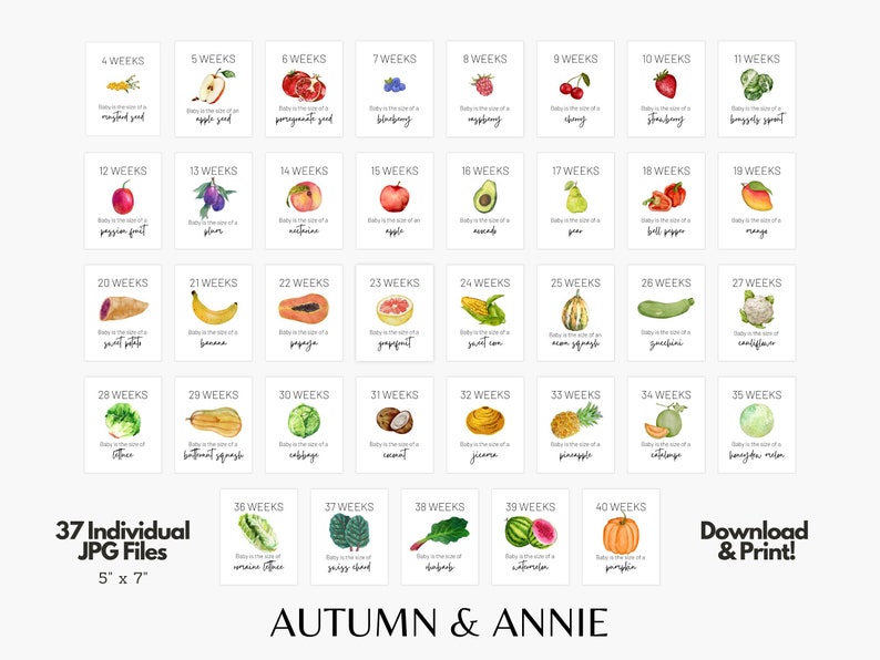 Printable Pregnancy Milestone Cards Fruit & Veggies to Track - Etsy