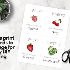 Printable Pregnancy Milestone Cards | Fruit & Veggies to Track Baby’s ...