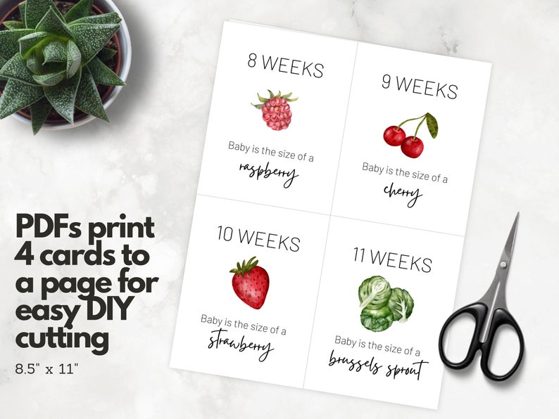 Printable Pregnancy Milestone Cards Fruit & Veggies to Track - Etsy