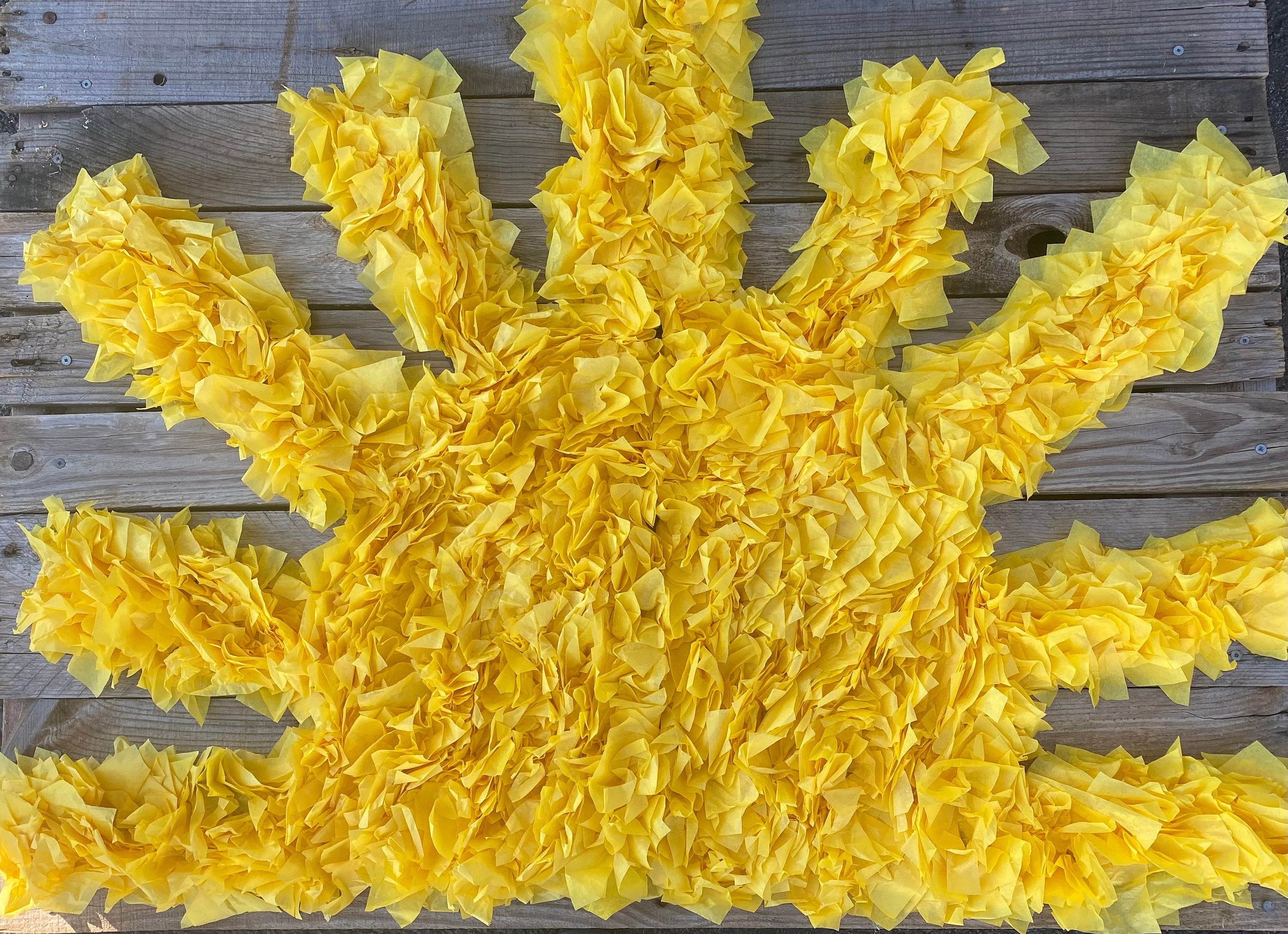 X-LARGE Sun Birthday Prop YOU Are My SUNSHINE - 26 Inches Tall Theme ...