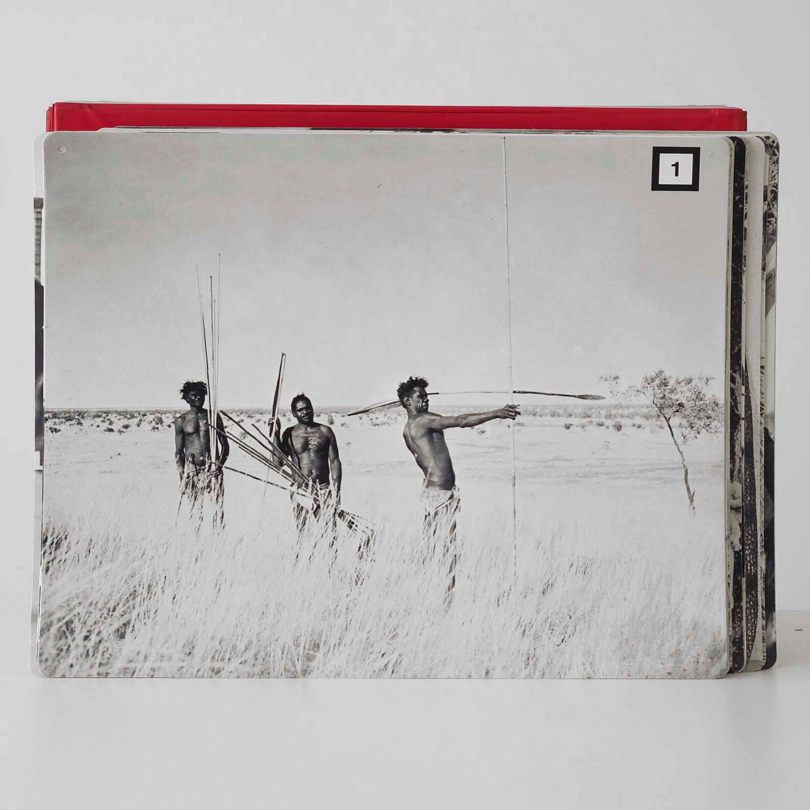 Aborigines in the northern territory educational photographs | Etsy