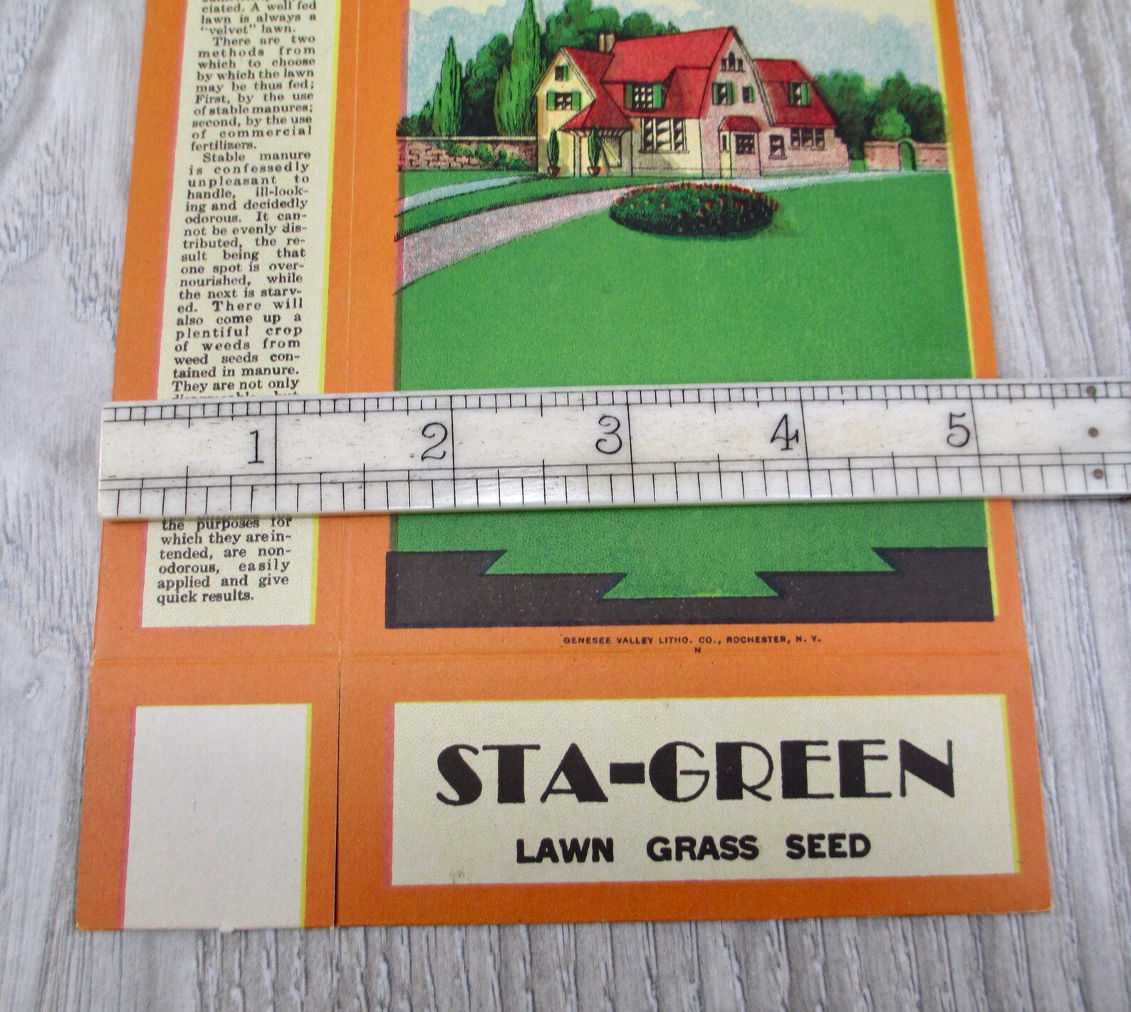 1930s Vintage Art Deco Grass Seed Box Sta Green Antique - Etsy