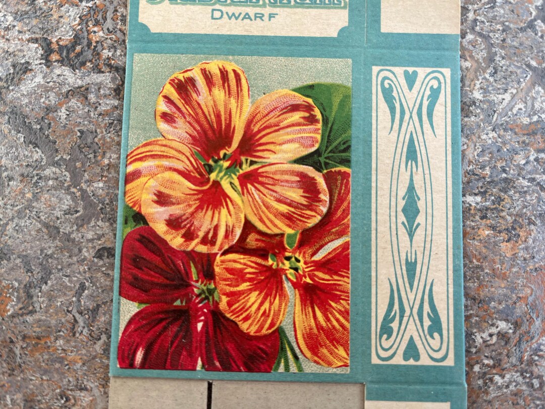 Antique Flower Seed Box Early 1900s Seeds Nasturtium Floral Packaging ...