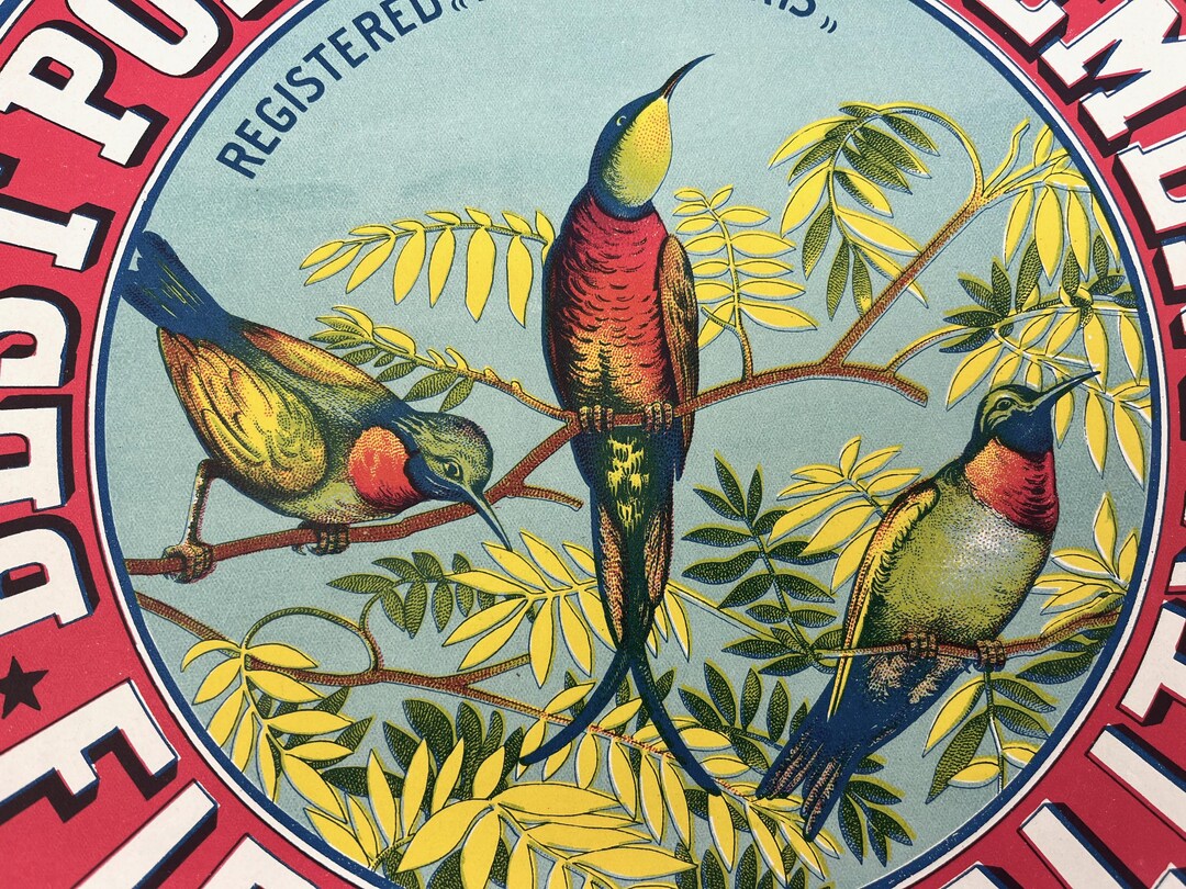 Antique Barrel Label 1920s Birds Vintage Portland Cement Litho Round ...