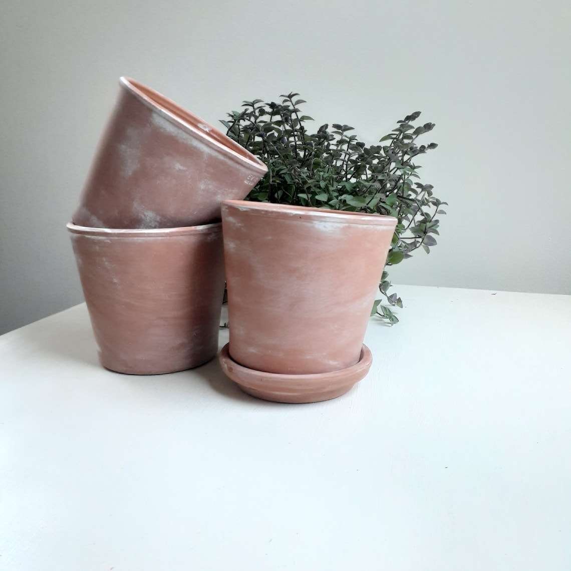 Rustic Aged Terra Cotta Pot and Saucer Herb Planter - Etsy