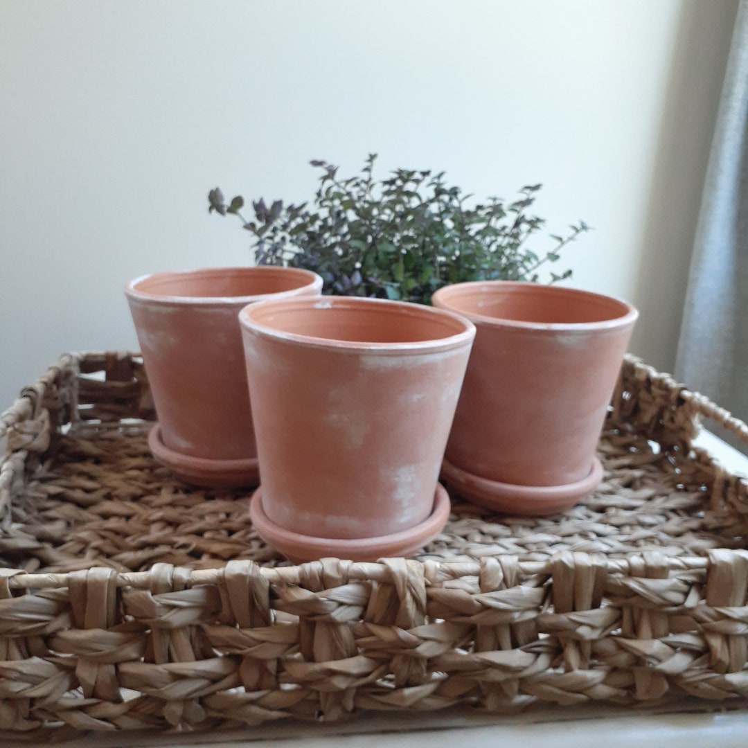 Rustic Aged Terra Cotta Pot and Saucer Herb Planter With Herb - Etsy